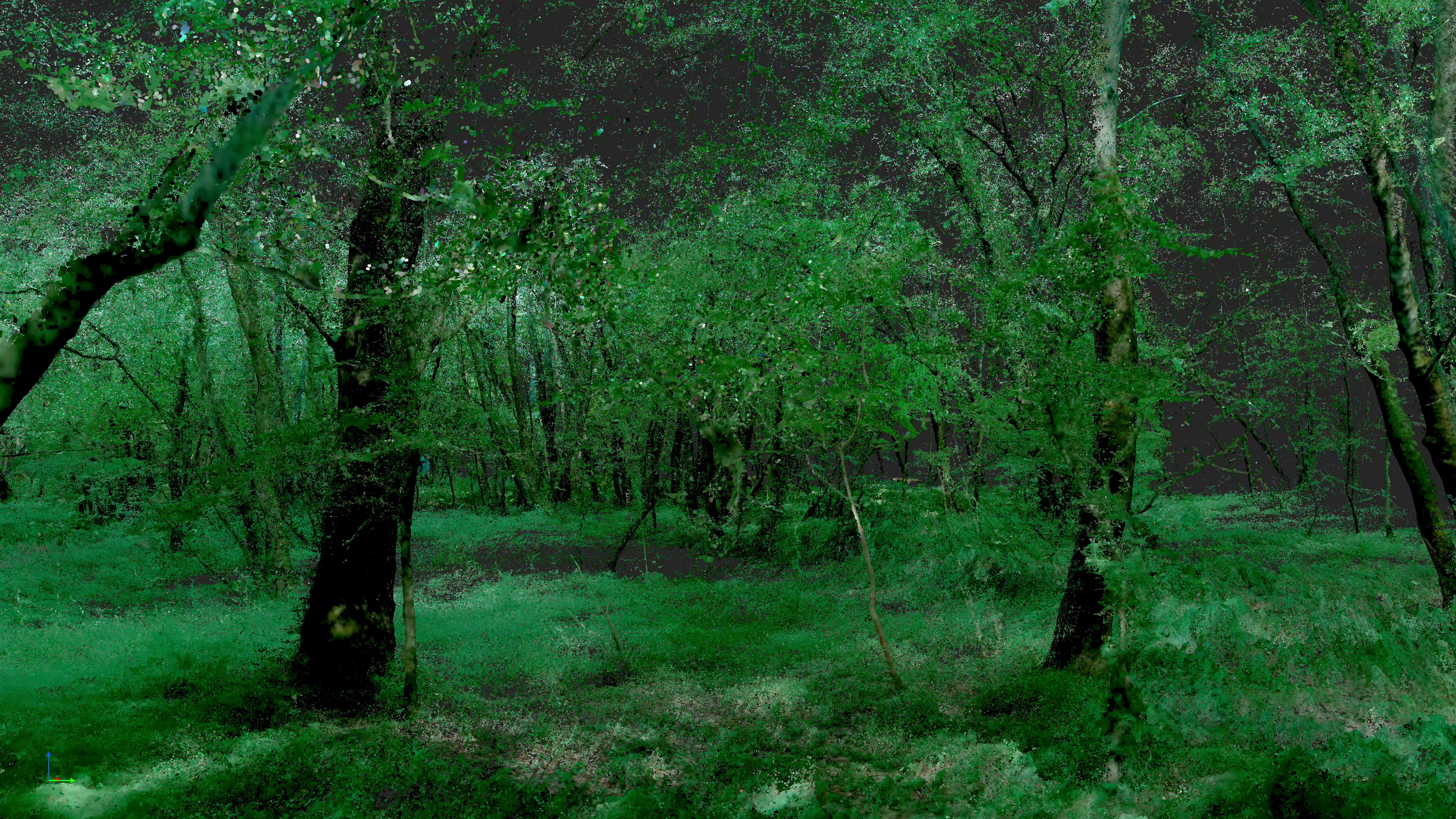 Sustainable forest management: the MS-96 mobile 3D scanner on the front ...